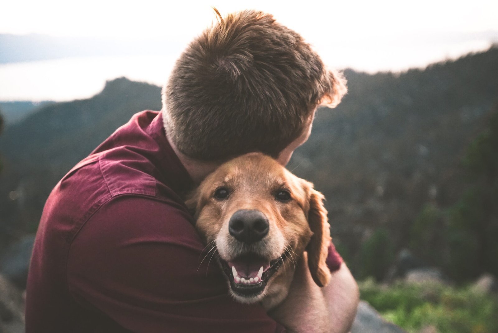 10 Reasons Why We Love Dogs – Stay Pawsitive